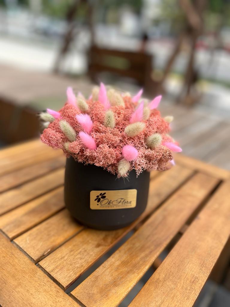 Compozitie cu Licheni Roz in Vaza